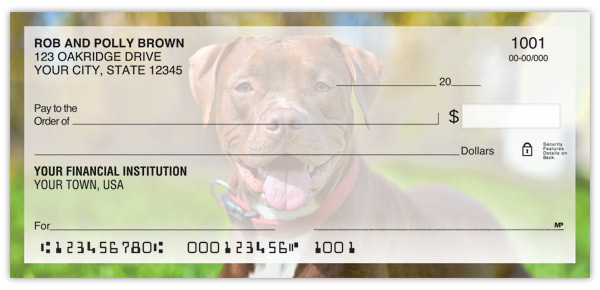 Pit Bull Personal Checks | Promise Checks